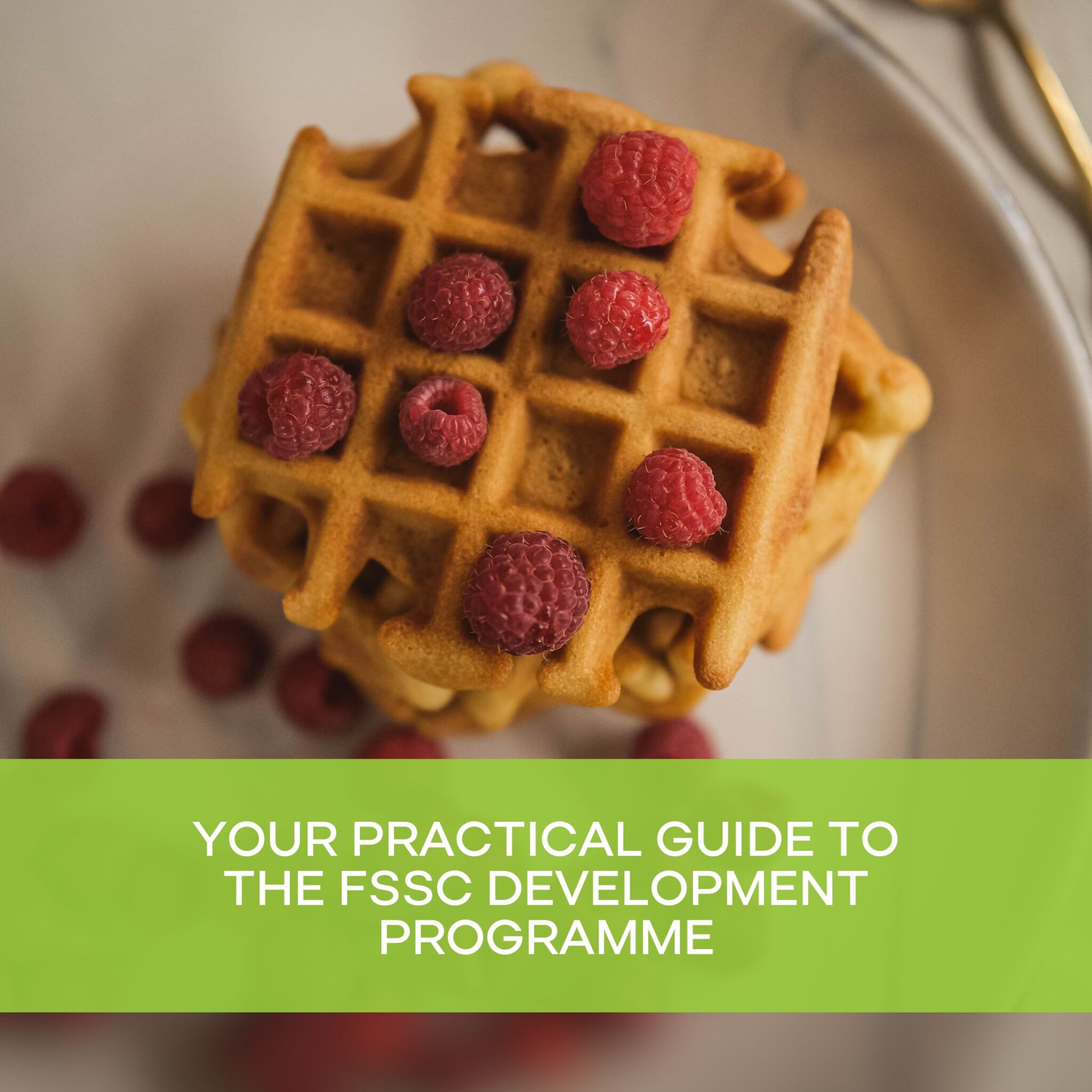 Your Practical Guide to the FSSC Development Programme | Entecom